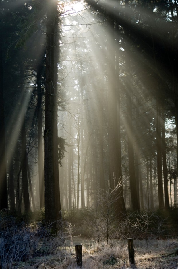 Magic Magasin - En skummel jakthistorie